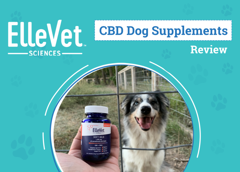 ElleVet CBD Products Review 2025: An Expert's Breakdown – Dogster