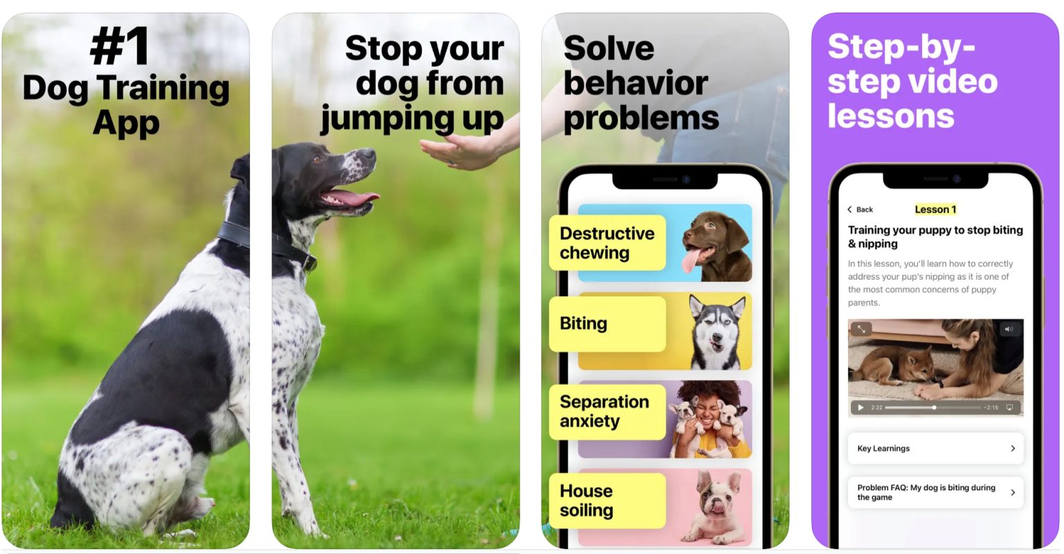 10 Best Dog Training Apps in 2025 - Reviews & Top Picks – Dogster