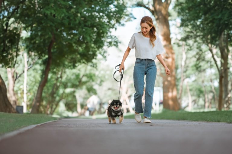 7 Health Benefits of Walking Your Dog: Vet-Verified Well-Being Facts ...