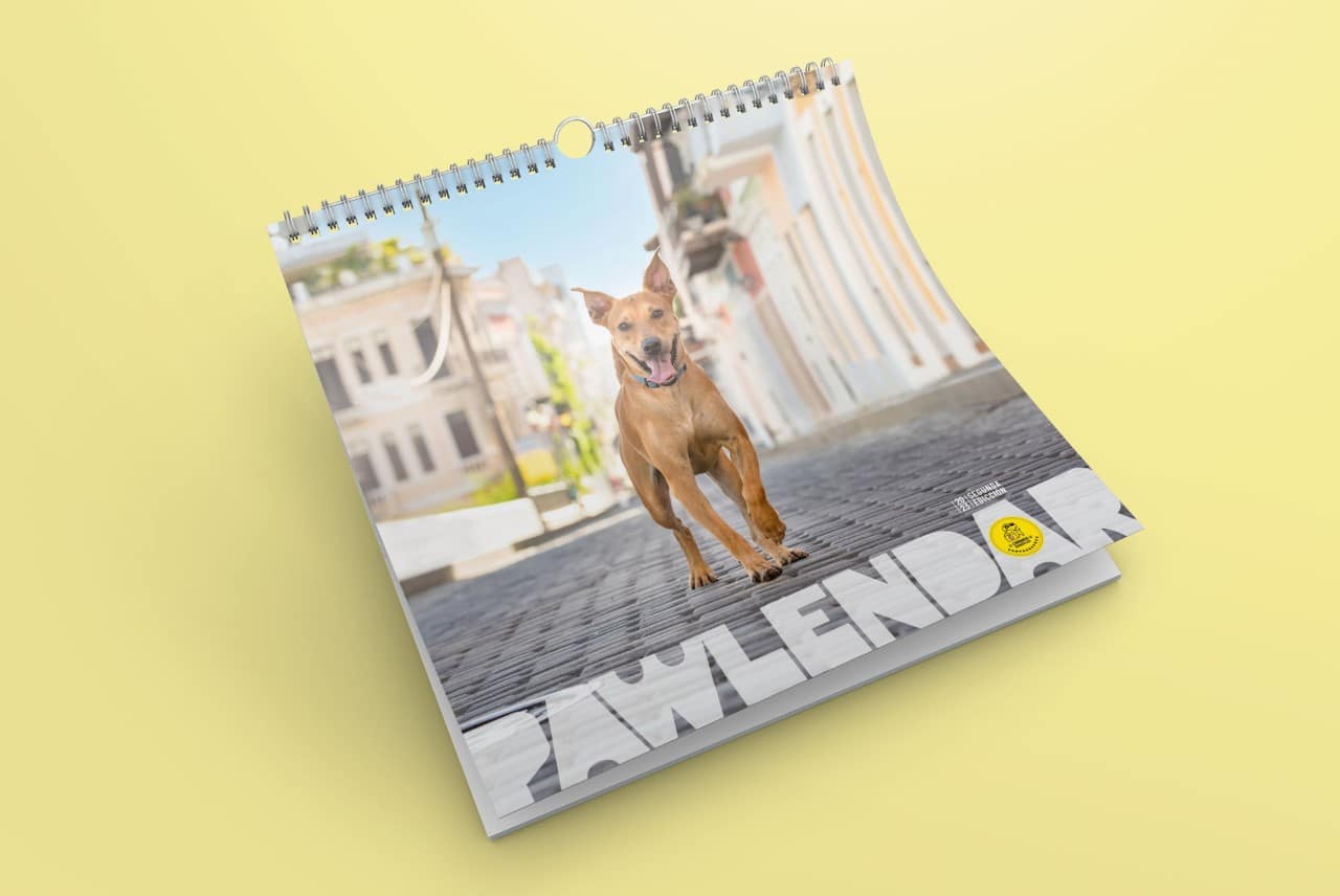 Dog-Themed Calendars You’ll Love – Dogster