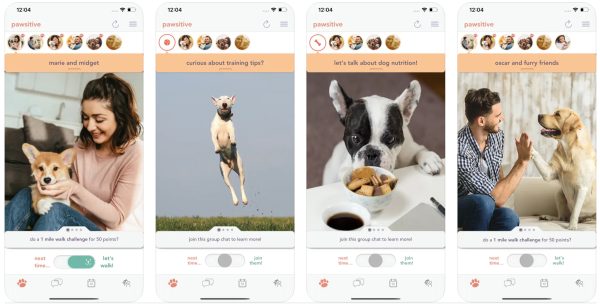 10 Best Dog Training Apps in 2024 - Reviews & Top Picks – Dogster