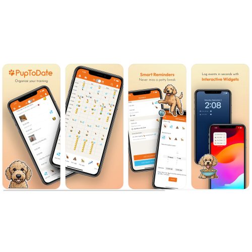 10 Best Dog Training Apps in 2025 - Reviews & Top Picks – Dogster