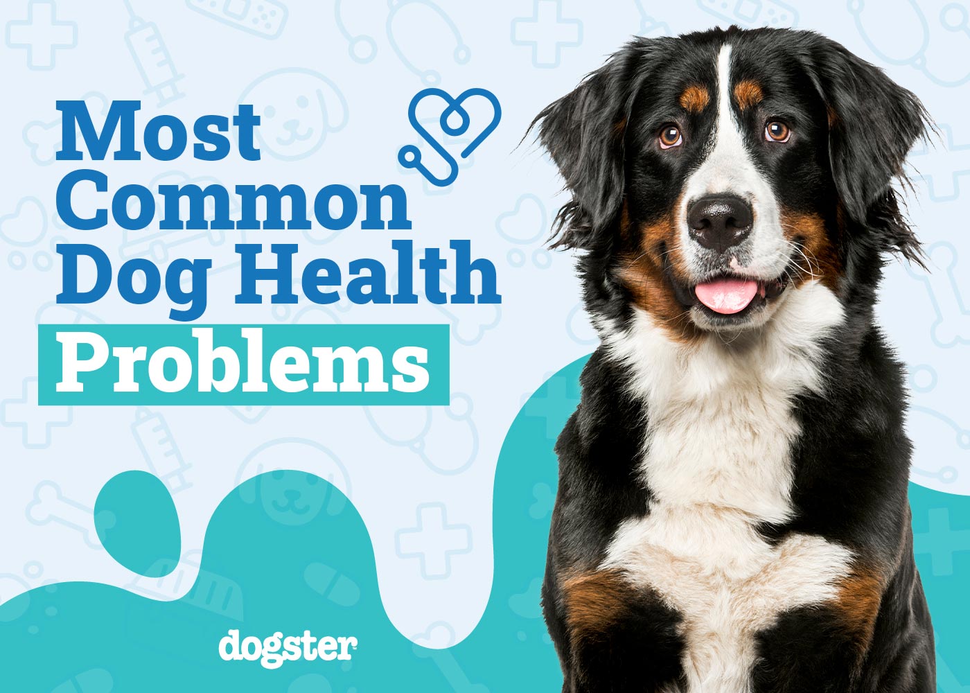 10 Most Common Dog Health Problems: Vet-Verified Facts & Signs – Dogster