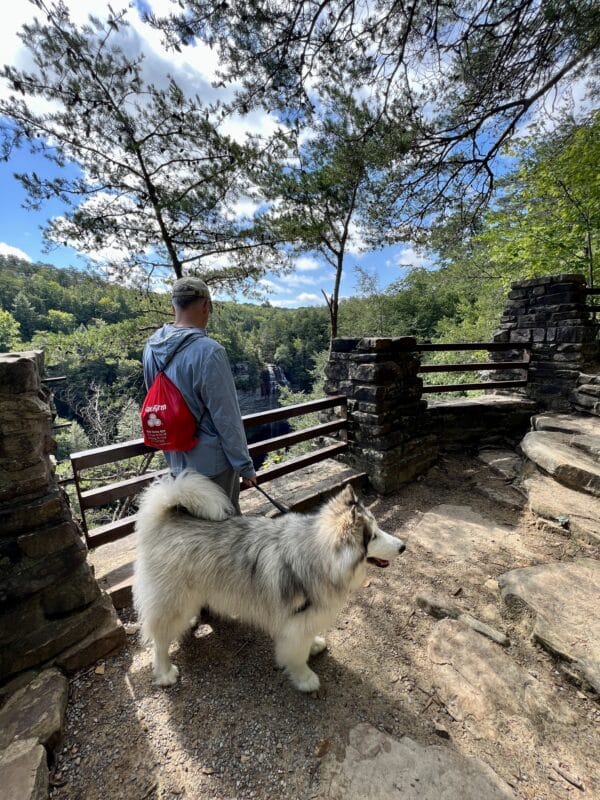 10 Best Dog-Friendly National Parks – Dogster
