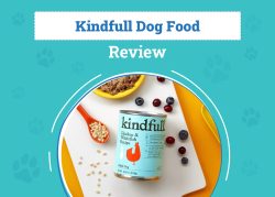 Kindfull Dog Food Review 2025: Pros, Cons & Recalls – Dogster
