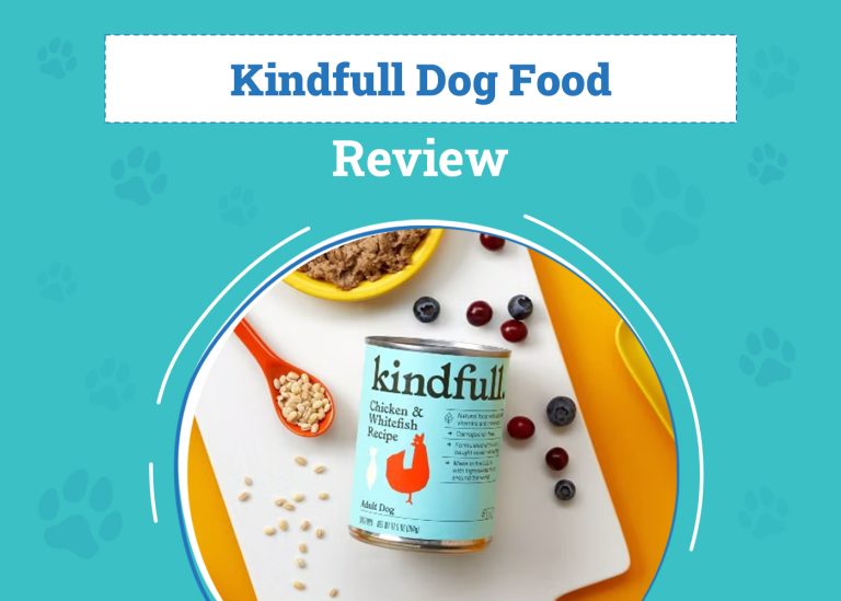 Kindfull Dog Food Review 2025: Pros, Cons & Recalls – Dogster