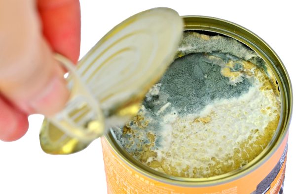 What Does Mold on Dog Food Look Like? Vet-Verified Facts & Prevention ...