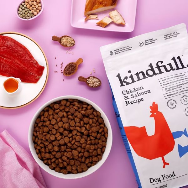 Kindfull Dog Food Review 2025: Pros, Cons & Recalls – Dogster