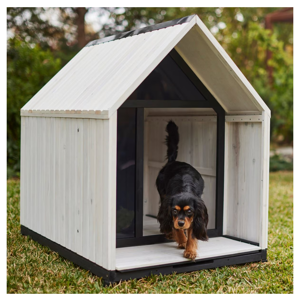 7 Best Dog Houses for Large Dogs in 2024: Reviews & Top Picks – Dogster