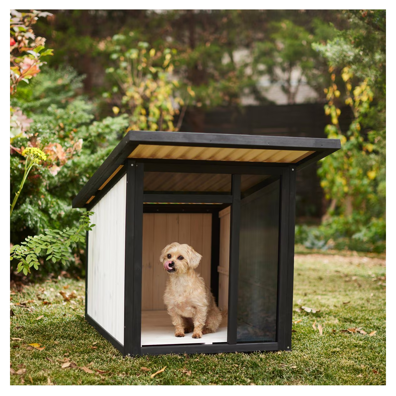 7 Best Dog Houses for Large Dogs in 2024: Reviews & Top Picks – Dogster