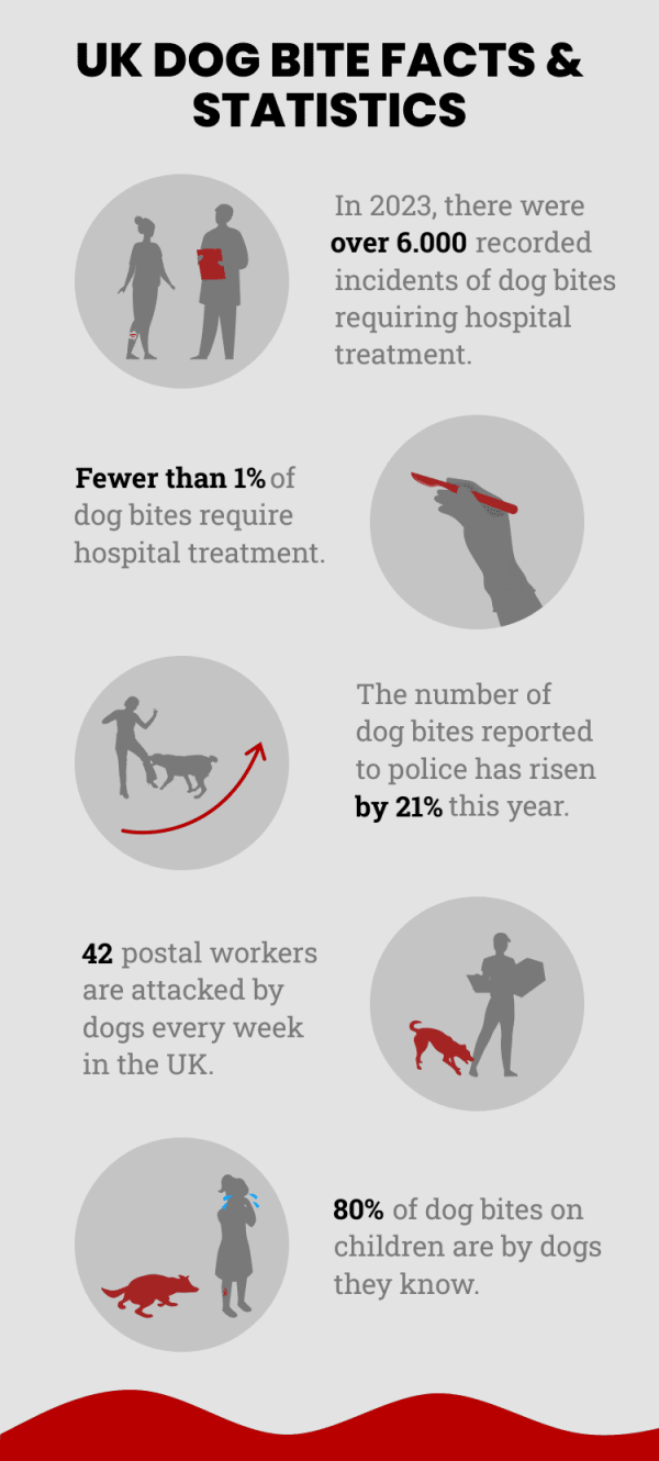 18 Surprising UK Dog Bite Statistics to Know in 2026 – Dogster
