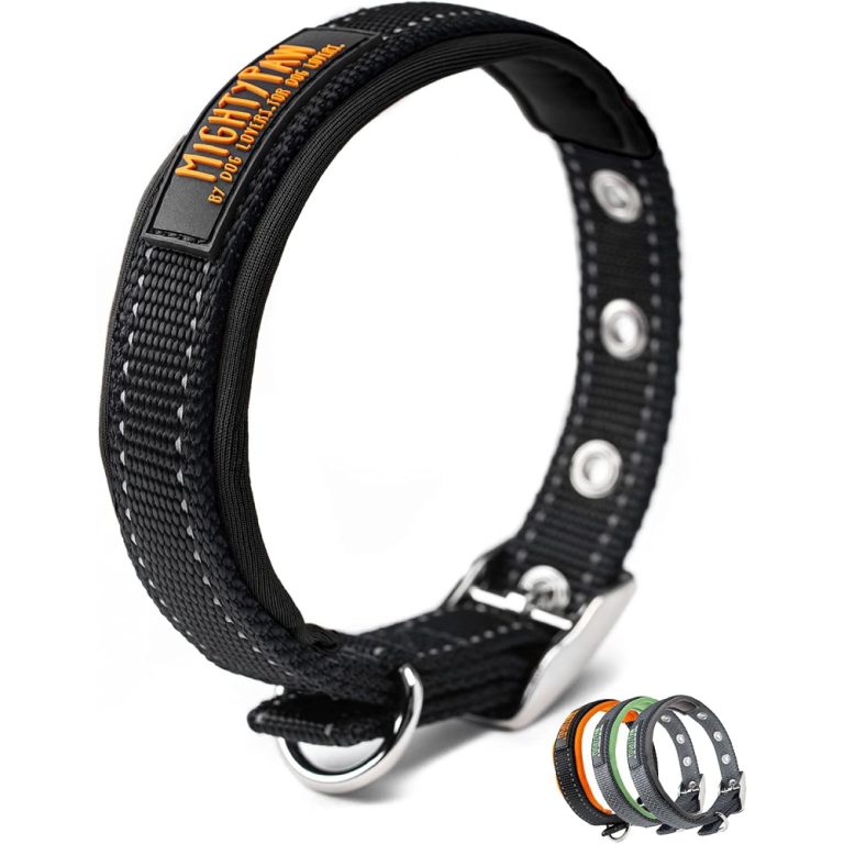 10 Best Tactical Dog Collars in 2026: Reviews & Top Picks – Dogster