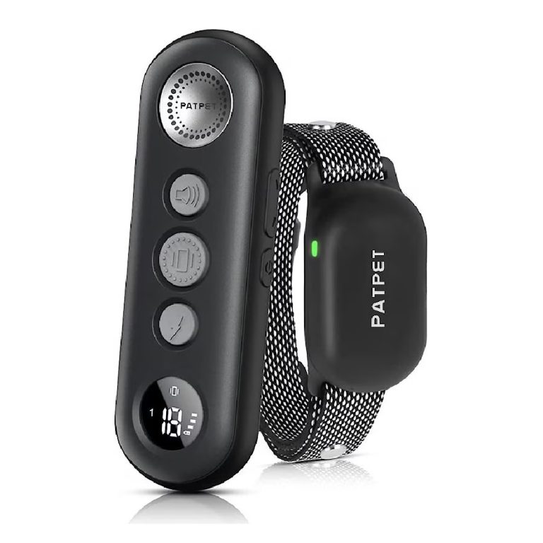 6 Best Vibrating Dog Collars in 2026: Reviews & Top Picks – Dogster