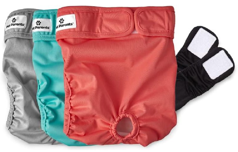 10 Best Dog Diapers in 2025 – Reviews & Top Picks – Dogster