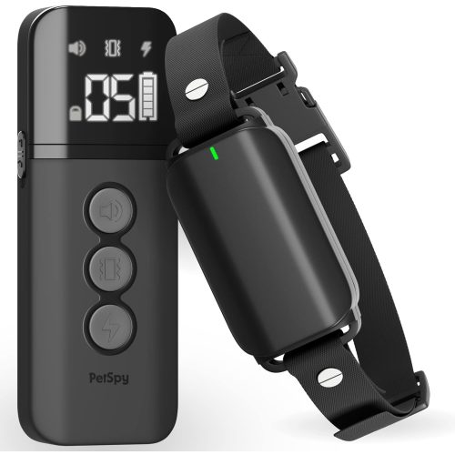 6 Best Vibrating Dog Collars in 2026: Reviews & Top Picks – Dogster