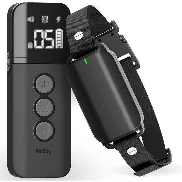 7 Best Vibrating Dog Collars in 2025: Reviews & Top Picks – Dogster