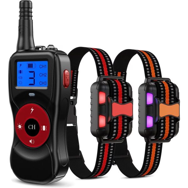 7 Best Vibrating Dog Collars in 2024: Reviews & Top Picks – Dogster