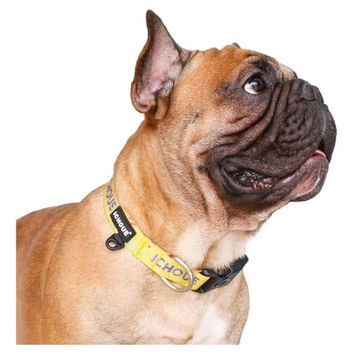 8 Best Collars for French Bulldogs in 2025: Reviews & Top Picks – Dogster