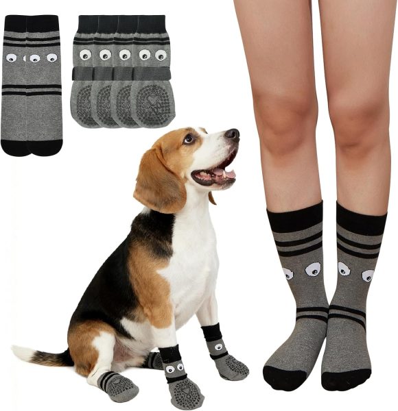 7 Best Dog Socks in 2026: Reviews & Top Picks – Dogster