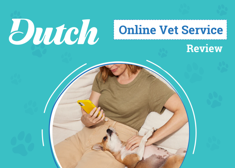 Dutch Online Veterinarian Service Review 2026: An Expert's Breakdown ...