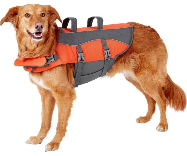 10 Best Dog Life Jackets for Your Pup in 2025 - Reviews & Top Picks ...