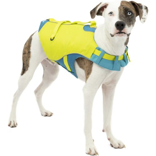 10 Best Dog Life Jackets for Your Pup in 2025 - Reviews & Top Picks ...