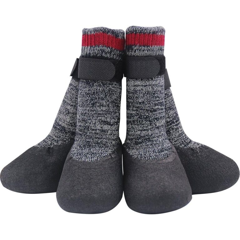 7 Best Dog Socks in 2025: Reviews & Top Picks – Dogster