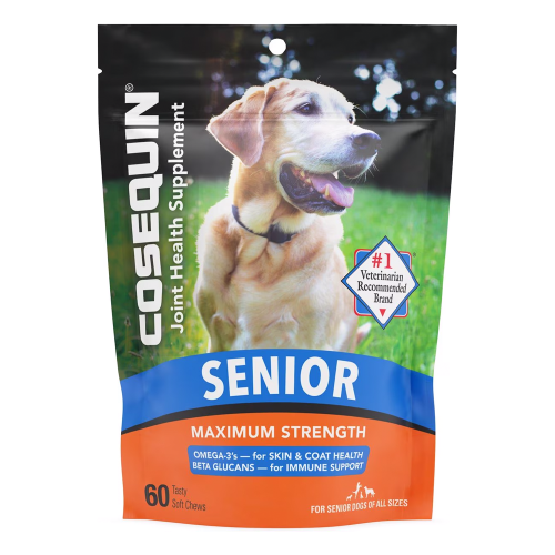 10 Best Supplements for Older Dogs in 2024: Reviews & Top Picks – Dogster