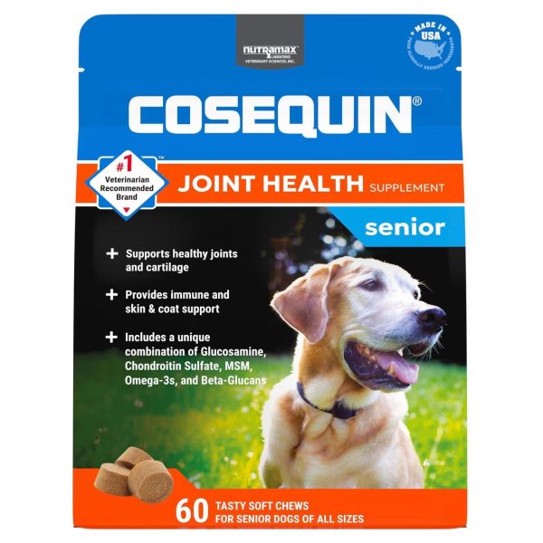 10 Best Supplements for Older Dogs in 2025: Reviews & Top Picks – Dogster