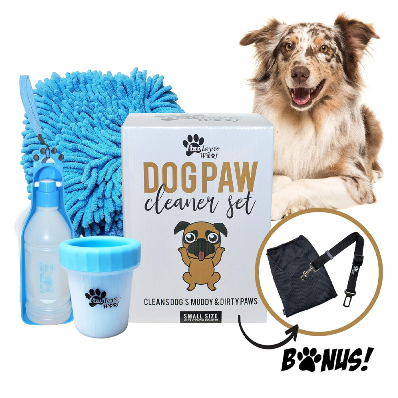 10 Best Dog Paw Cleaners in 2026: Reviews & Top Picks – Dogster