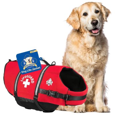 10 Best Dog Life Jackets for Your Pup in 2026 - Reviews & Top Picks ...