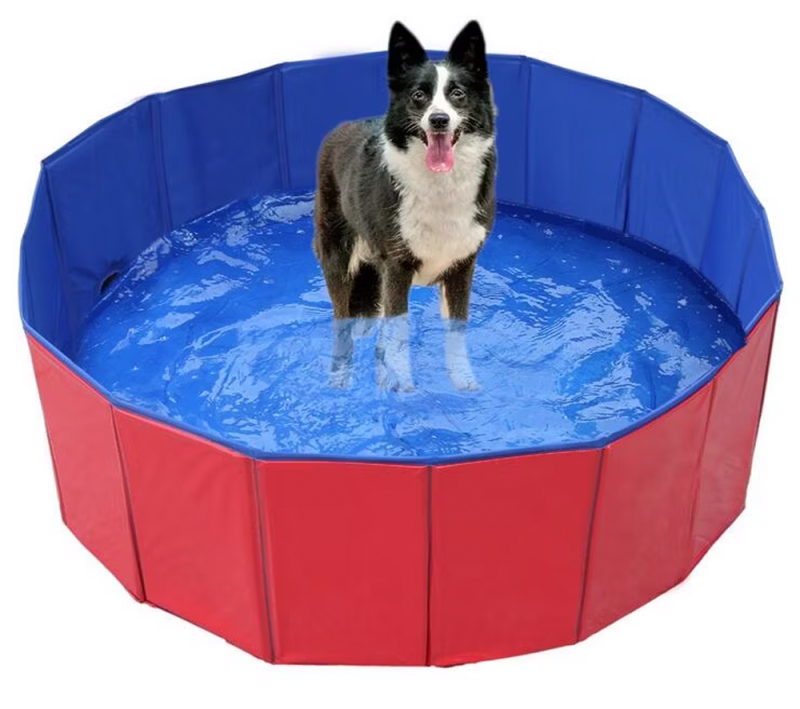6 Best Dog Pools in 2025: Reviews & Top Picks – Dogster