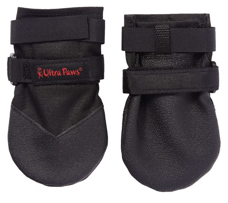 10 Best Snow Boots for Dogs in 2026: Reviews & Top Picks – Dogster