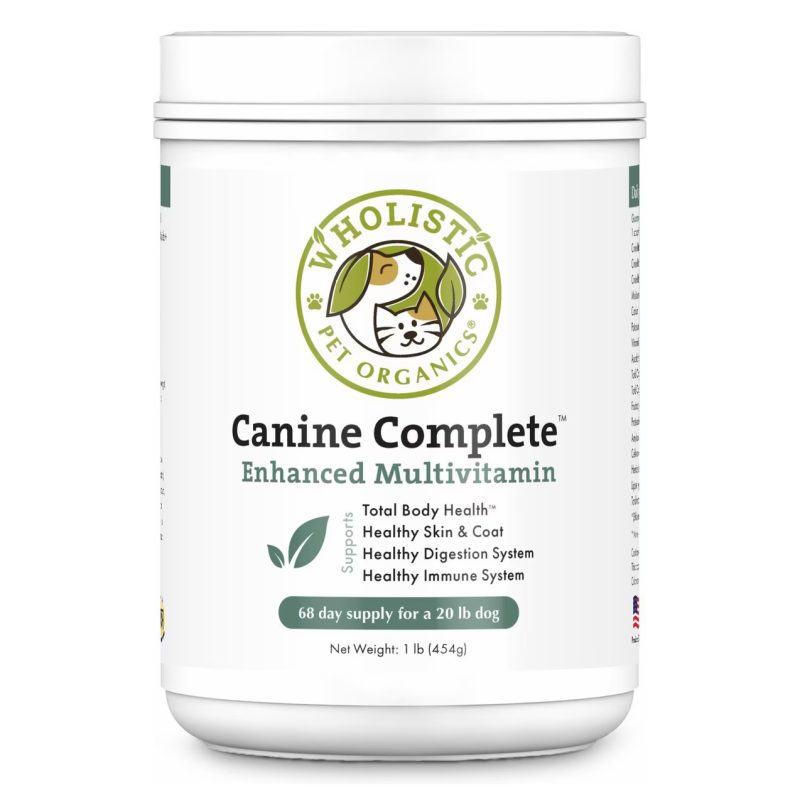 10 Best Supplements for Older Dogs in 2025: Reviews & Top Picks – Dogster