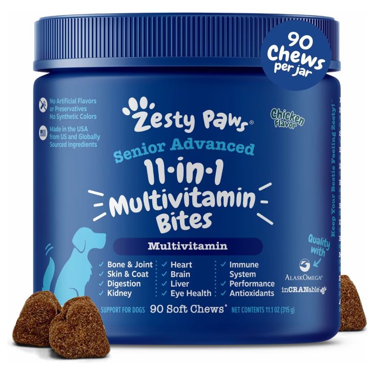 10 Best Supplements for Older Dogs in 2025: Reviews & Top Picks – Dogster