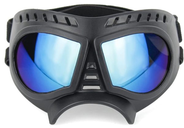 9 Best Dog Goggles in 2026 – Reviews & Top Picks – Dogster