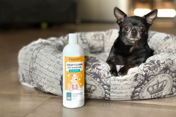 7 Best Dog Shampoos for Odor Control in 2025 - Reviews & Top Picks ...