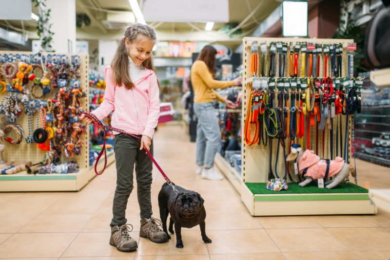 Are Dogs Allowed in Menards? 2025 Pet Policy & FAQ – Dogster