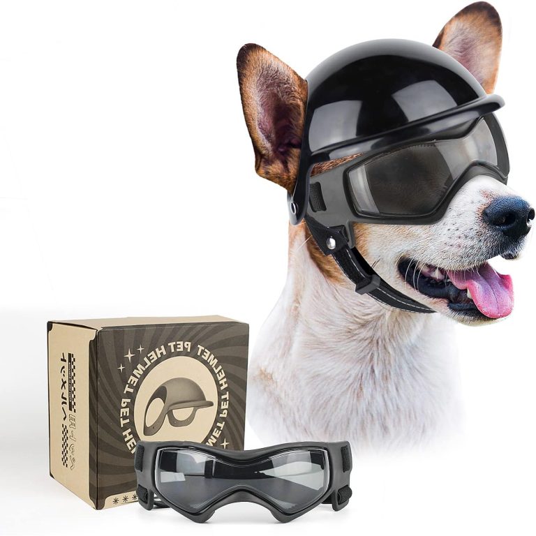 9 Best Dog Goggles in 2025 – Reviews & Top Picks – Dogster