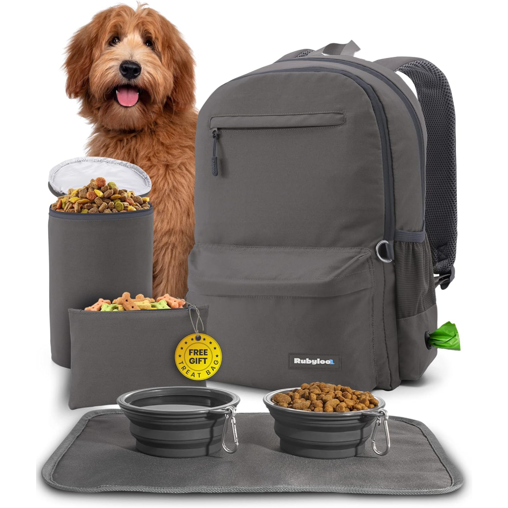 10 Best Dog Travel Bags In 2025: Reviews & Top Picks – Dogster