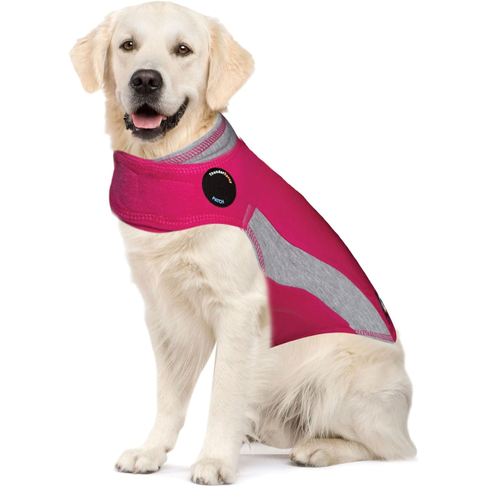 Do Body Wraps Truly Help Dogs With Anxiety? (Vet Answer) – Dogster