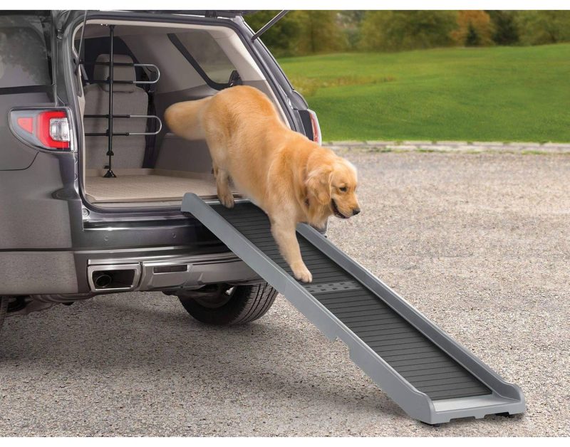 6 Best RV Dog Ramps in 2025: Reviews & Top Picks – Dogster