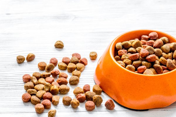 Can I Feed My Dog Store-Bought Kibble? Vet-Approved Nutrition Facts ...