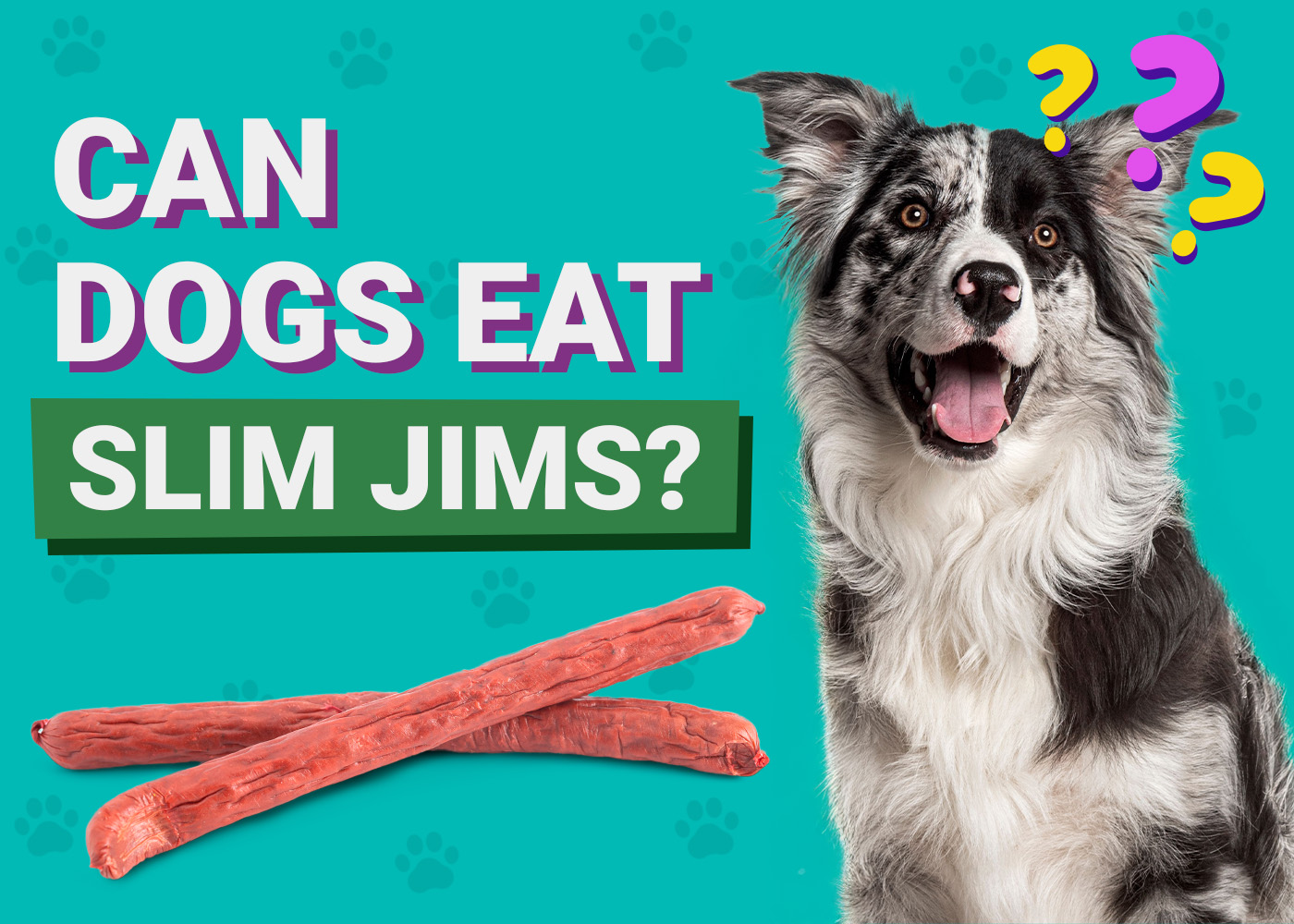 Can Dogs Eat Slim Jims Vet Verified Nutrition Info Risks Dogster Can Dogs Eat Slim Jims Vet Verified Nutrition Info Risks Dogster