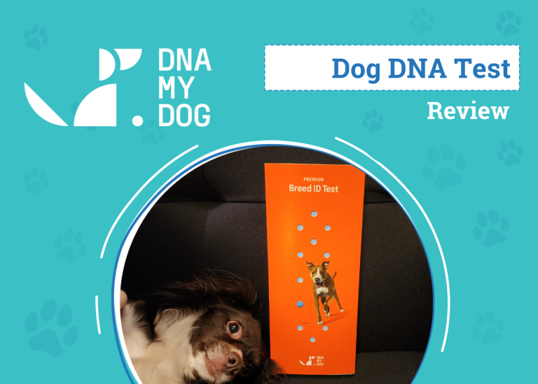 DNA My Dog Breed ID Test Review 2026: An Expert's Breakdown – Dogster