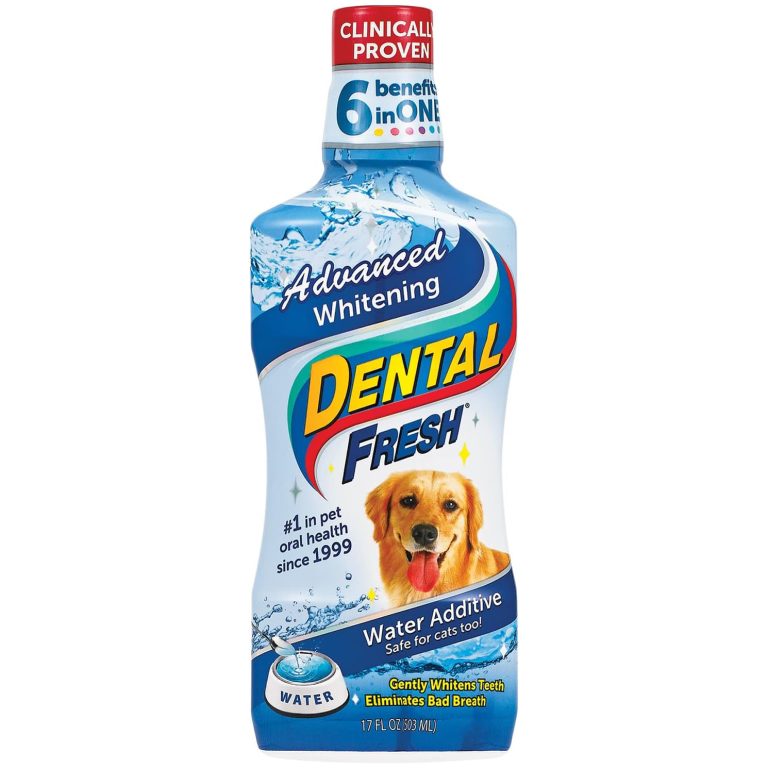 8 Best Dog Dental Water Additives in 2025 - Reviews & Top Picks – Dogster