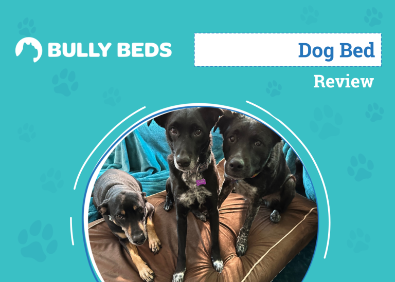 Bully Bed Orthopedic Large Dog Bed Review 2024: An Expert's Breakdown ...