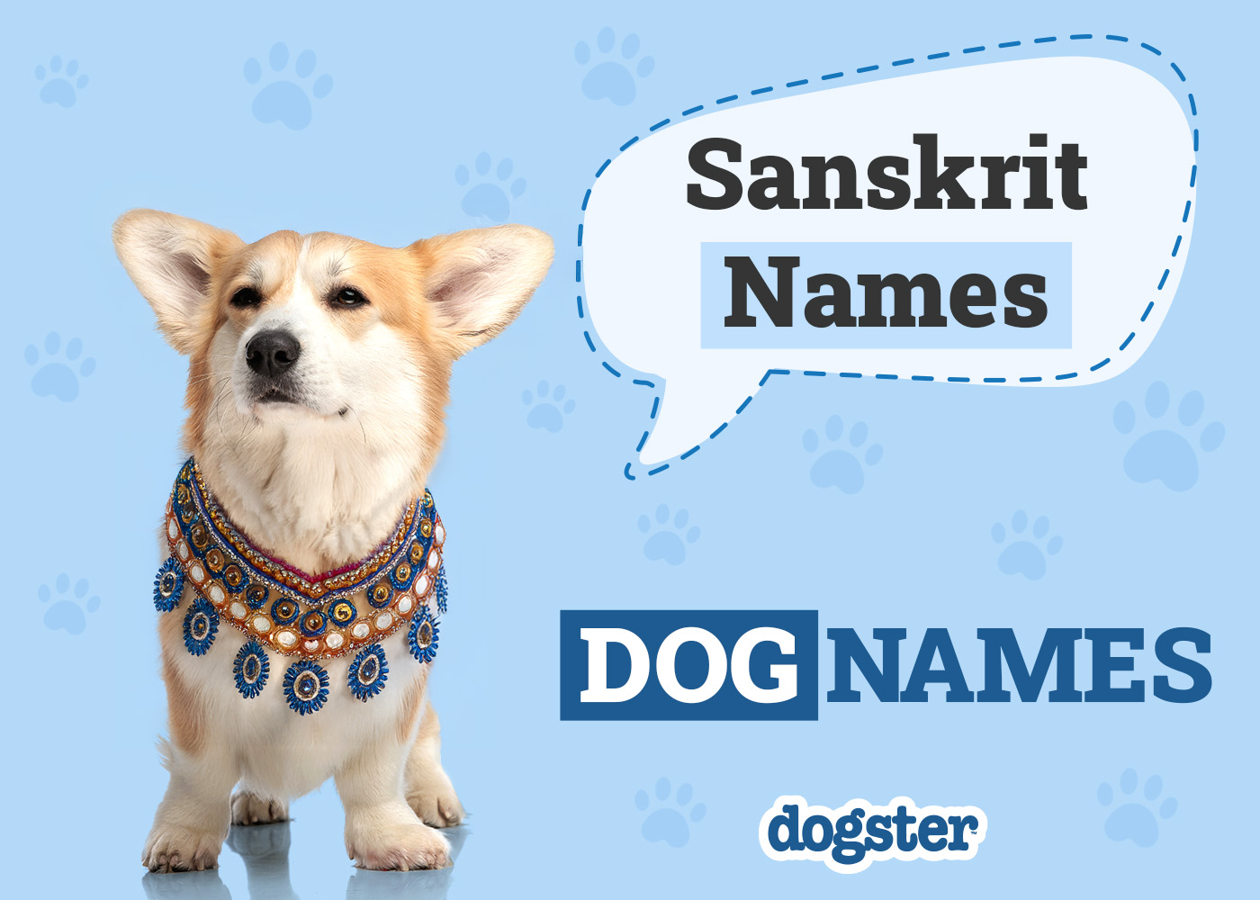 145 Sanskrit Dog Names Popular Male Female Options Dogster