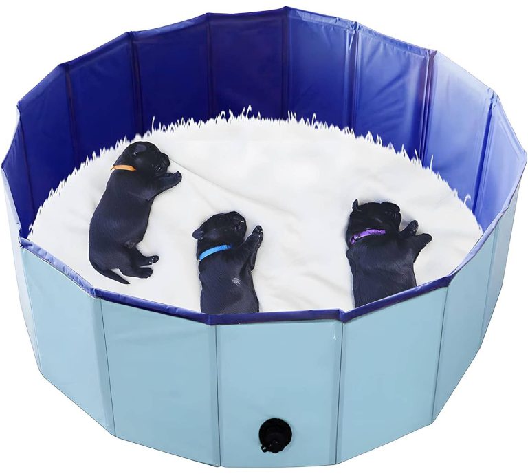 8 Best Dog Whelping Boxes – 2025 Reviews & Top Picks – Dogster