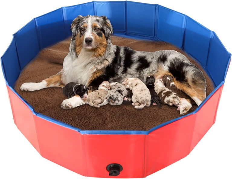 8 Best Dog Whelping Boxes – 2025 Reviews & Top Picks – Dogster